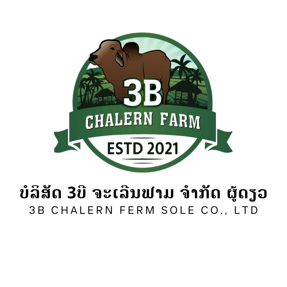 3B Group