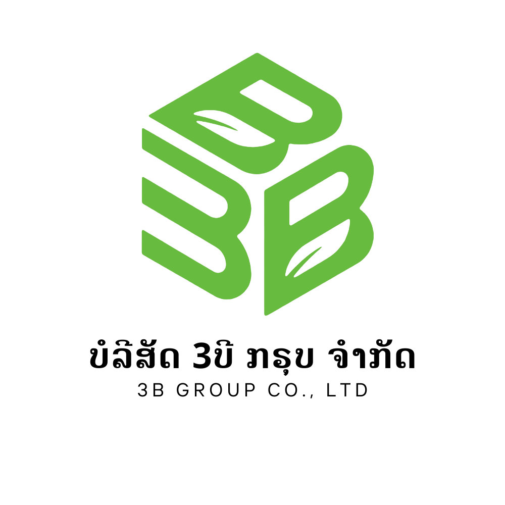 3B Group