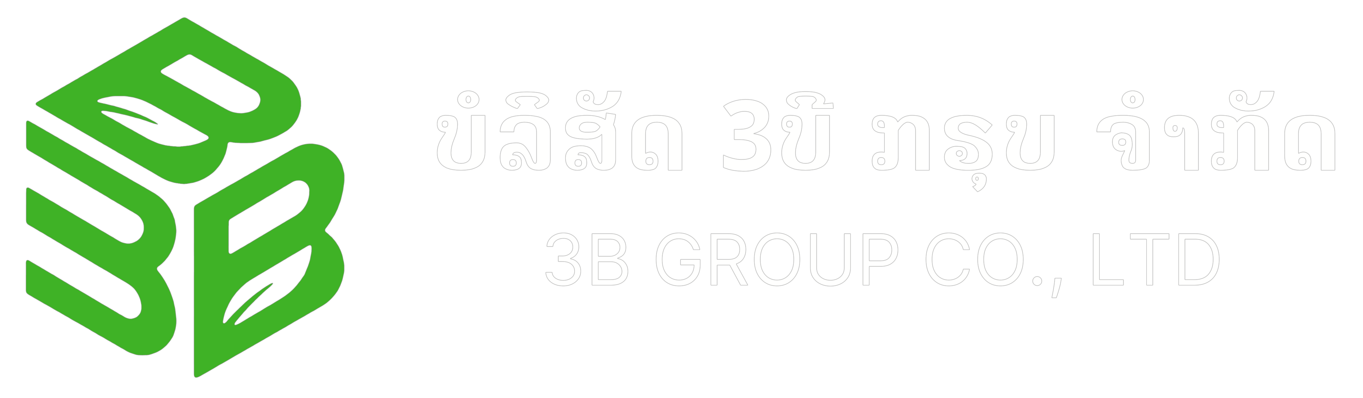 3B Group